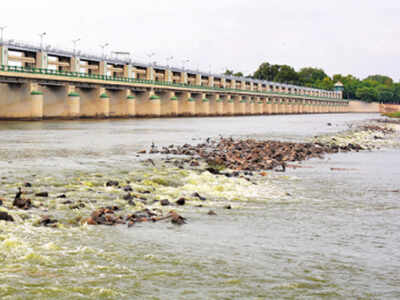 Prayers, flowers welcome Cauvery at Mukkombu | Trichy News - Times of India