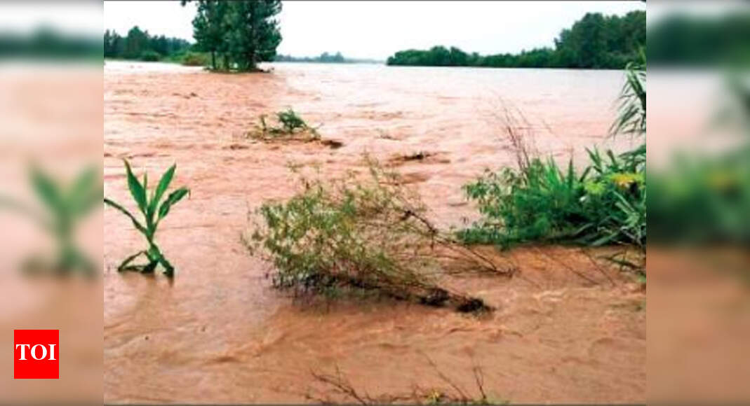 Ropar villages inundated in floods after Bhakhra releases water ...