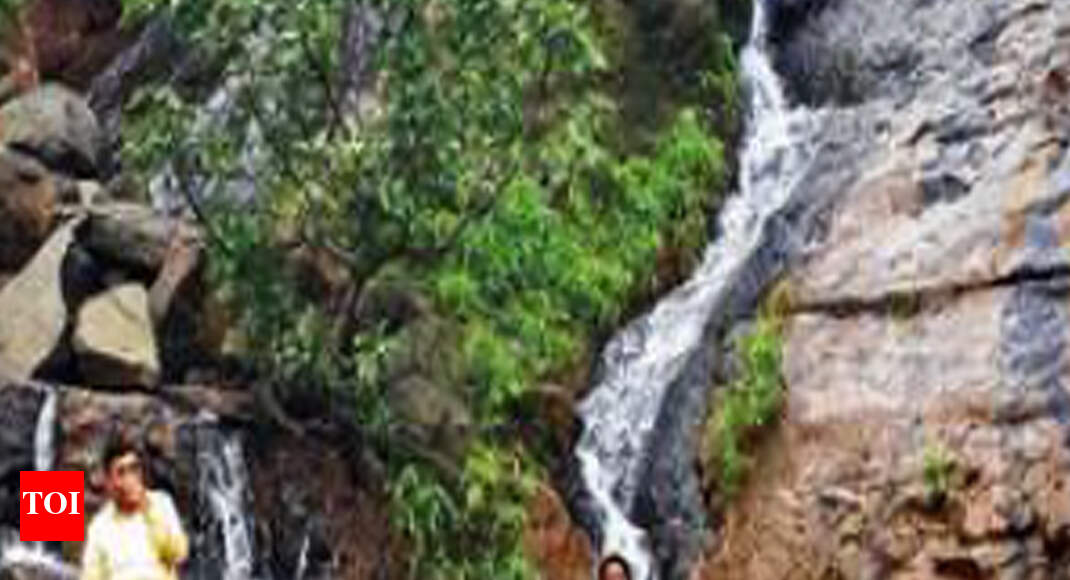 Plus valley opens for trekkers on August 26 | Pune News - Times of India