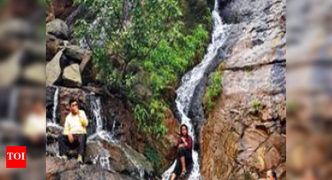 Plus valley opens for trekkers on August 26 | Pune News - Times of India