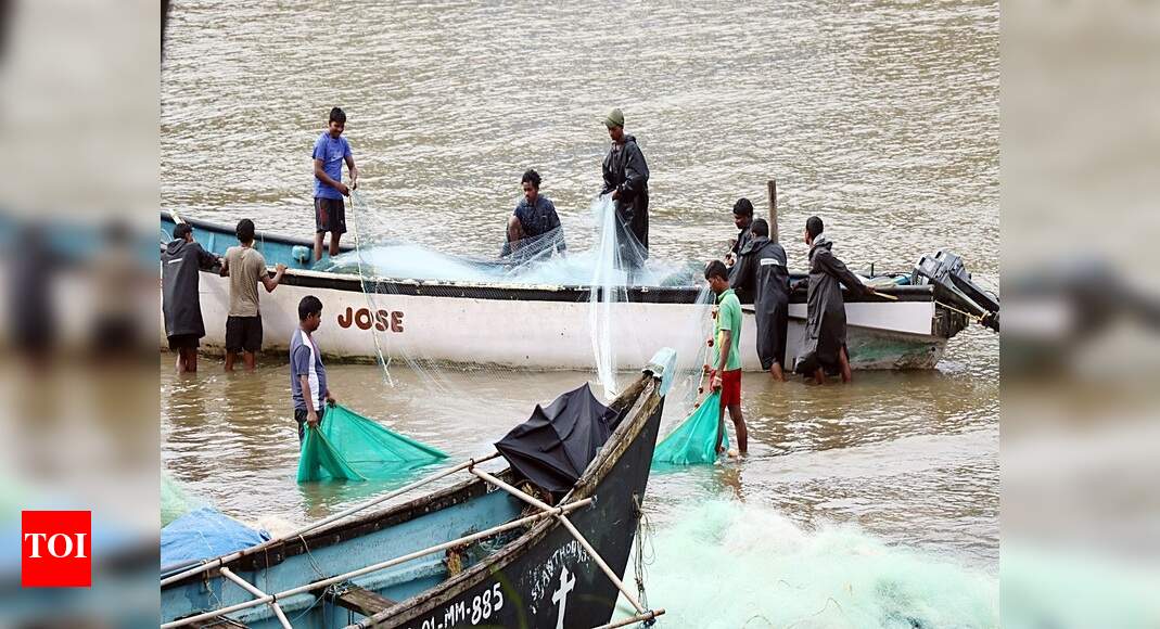 Canoes net good catch in Salcete coastel belt | Goa News - Times of India