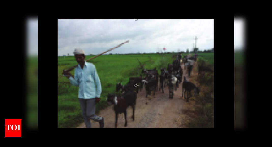 Motipur to get a road within 3 months: MLA | Noida News - The Times of ...