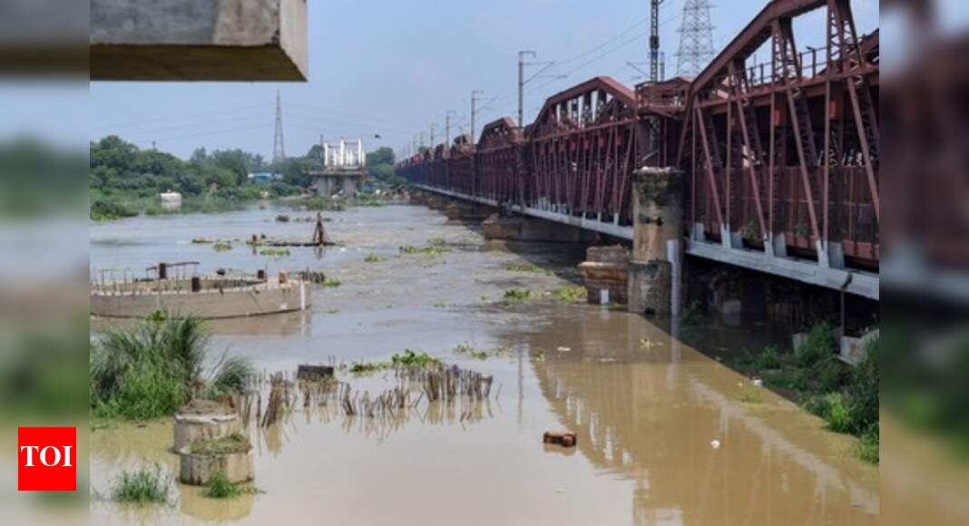 yamuna flood - Times of India