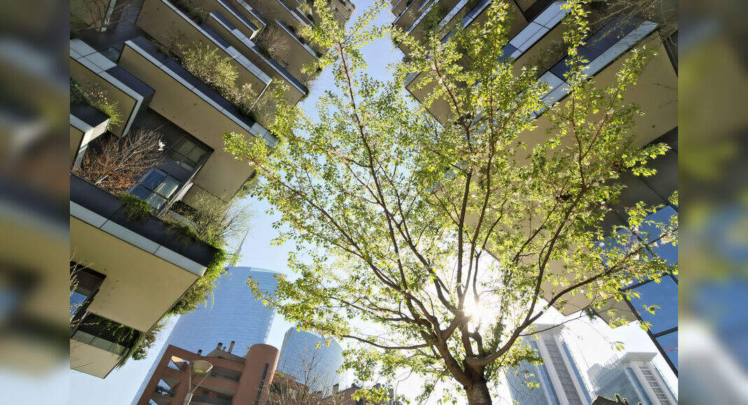 Egypt to get Africa’s very first vertical forest | TimesTravel