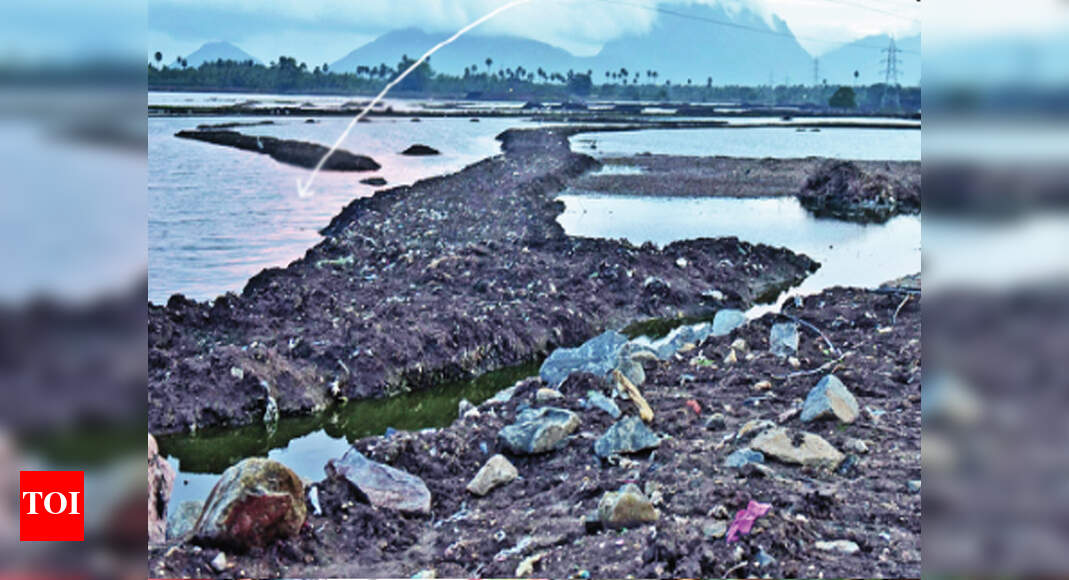 Clogged channels prevent water bodies from getting filled | Coimbatore ...