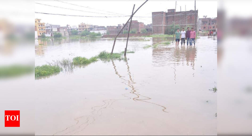 UP: Flood situation stable in Varanasi | Varanasi News - Times of India