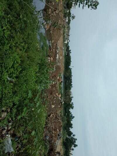 Encroachment of lake - Times of India