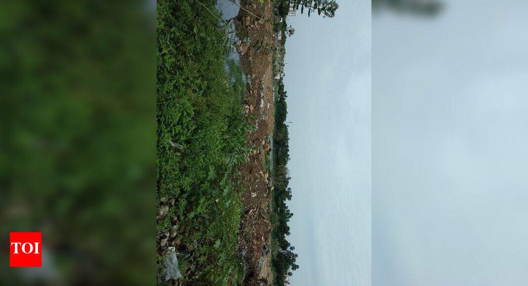 Encroachment of lake - Times of India