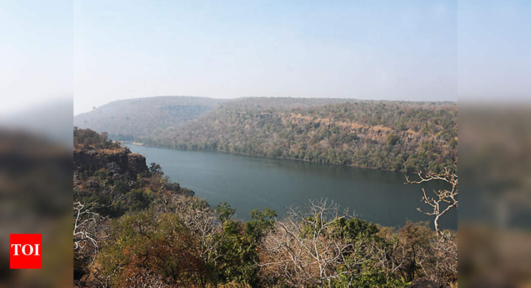 Untreated waste spikes pollution in Rajasthan rivers | Jaipur News ...