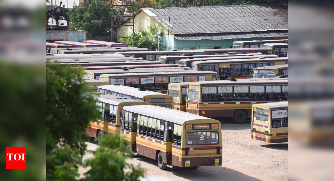 Tamil Nadu to operate 200 special buses for annual Velankanni festival ...