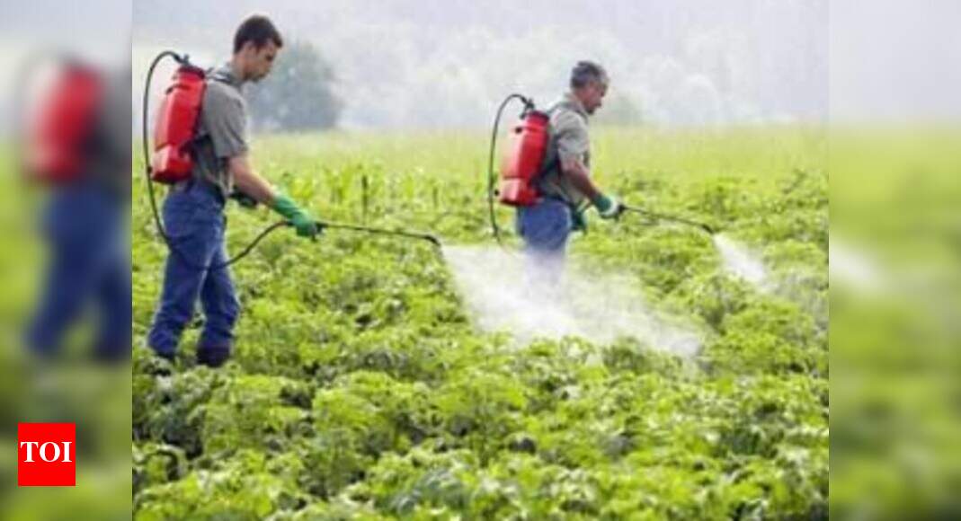 UK researchers developing natural alternative to pesticides - Times of ...