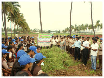 Celebrating Parthenium awareness week 2019 | Chennai News - Times of India