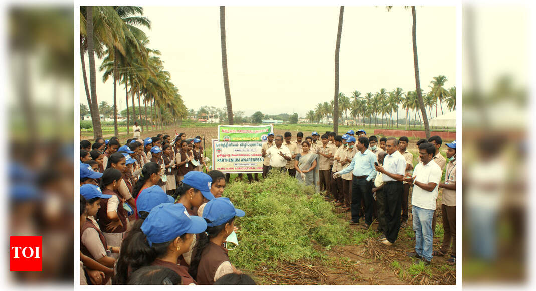 Celebrating Parthenium awareness week 2019 | Chennai News - Times of India
