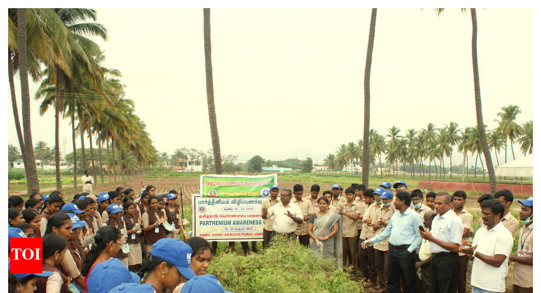 Celebrating Parthenium awareness week 2019 | Chennai News - Times of India