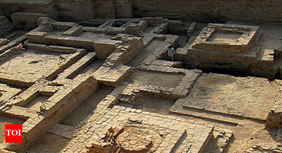 Experiential museum to show Vadnagar’s cultural depth | Ahmedabad News ...