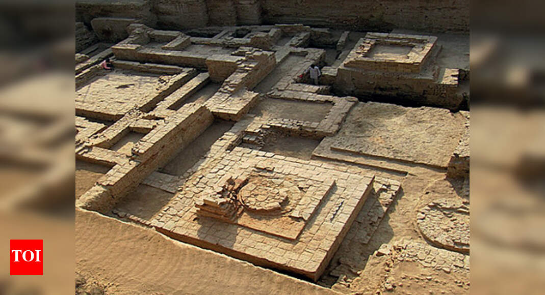 Experiential museum to show Vadnagar’s cultural depth | Ahmedabad News ...