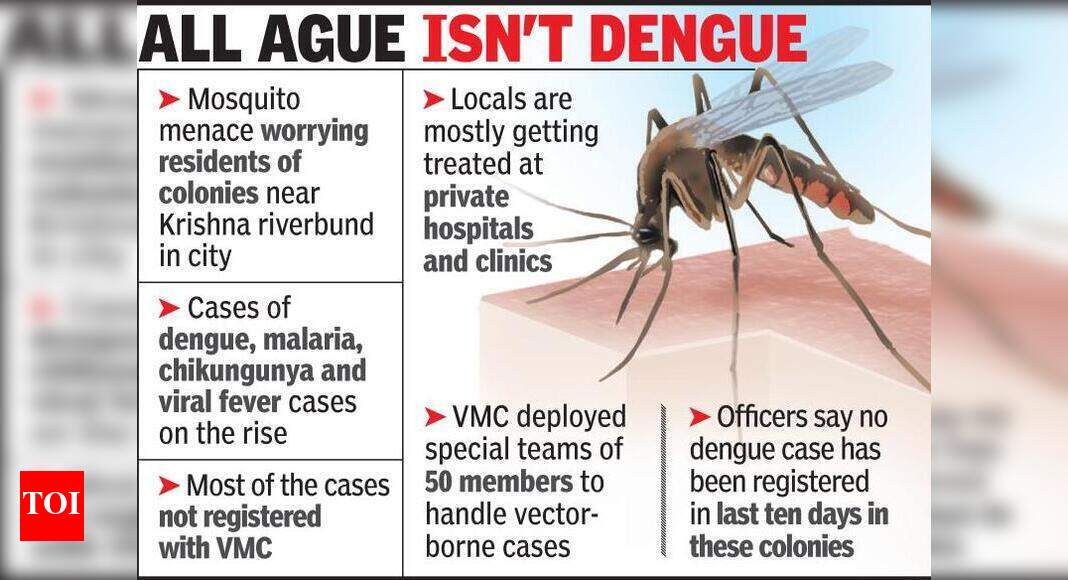 Fever after flood: Woes mount for Krishna Lanka residents | Vijayawada ...