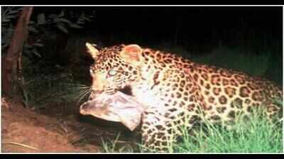 Submit report on waste dumping: NGT to Uttarakhand | Dehradun News ...