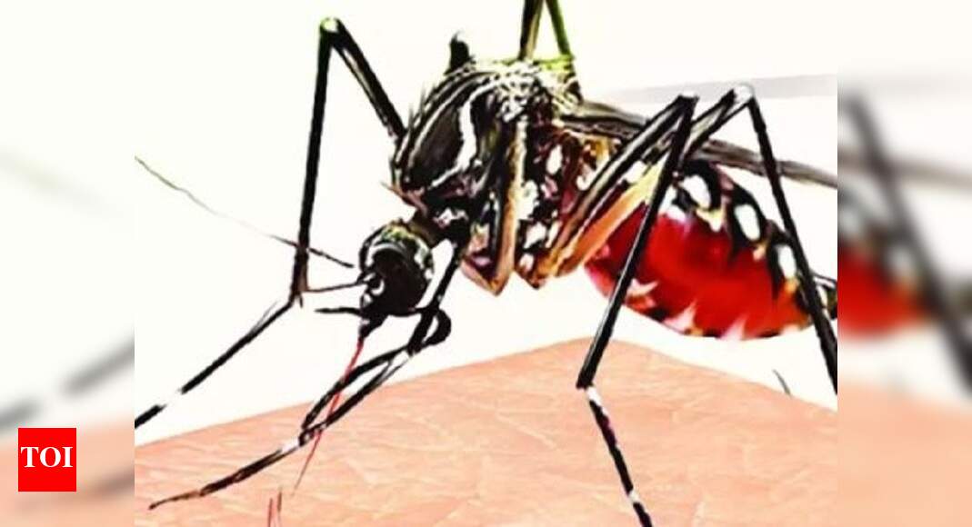 30 persons infected with two types of malaria simultaneously this year ...