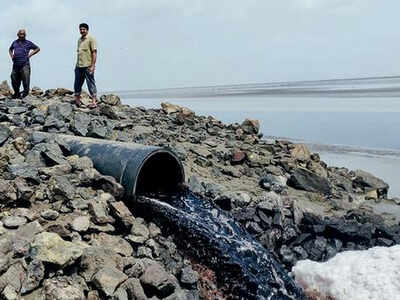 Stop VECL from disposing industrial waste, activists demand | Vadodara ...