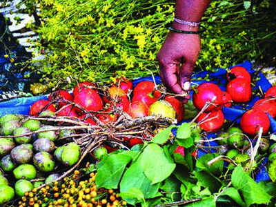 30 ST groups from Netravali at Matoli bazaar | Goa News - Times of India