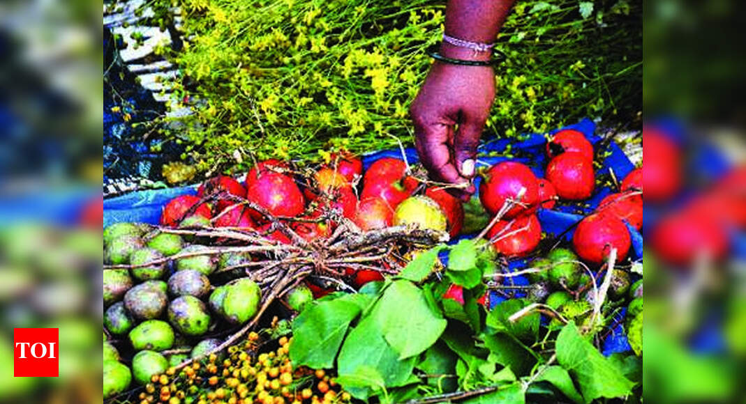 30 ST groups from Netravali at Matoli bazaar | Goa News - Times of India