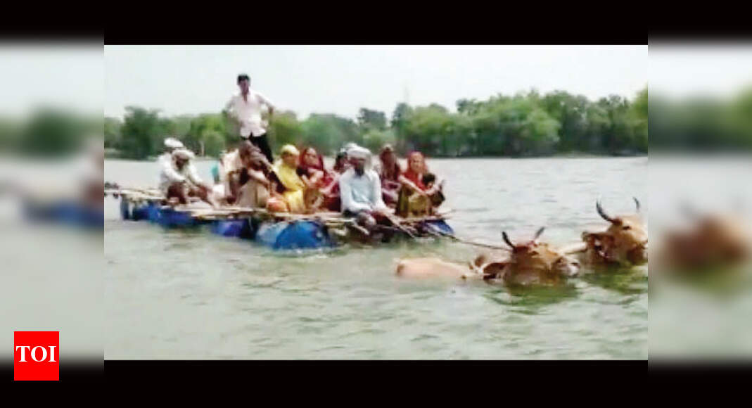 How ‘jugaad’ bullock carts keep Rajasthan villagers ‘afloat’ | Jaipur ...