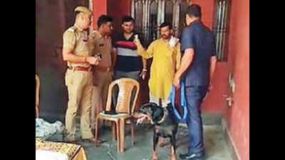 Elderly couple shot dead over ‘property dispute’ | Meerut News - Times ...