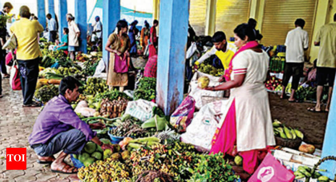 Arecanut, matoli fruit more expensive due to rain damage | Goa News ...