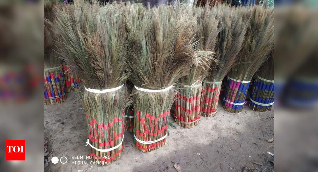 Nagaland’s hill broom grass set to make its presence felt nationally ...