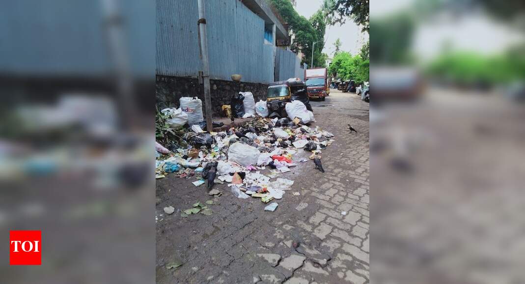garbage accumulation - Times of India