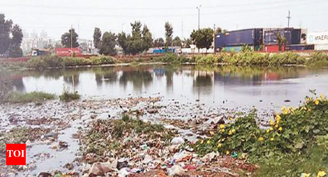 950 ponds still under heaps of plastic, Noida extends deadline | Noida ...