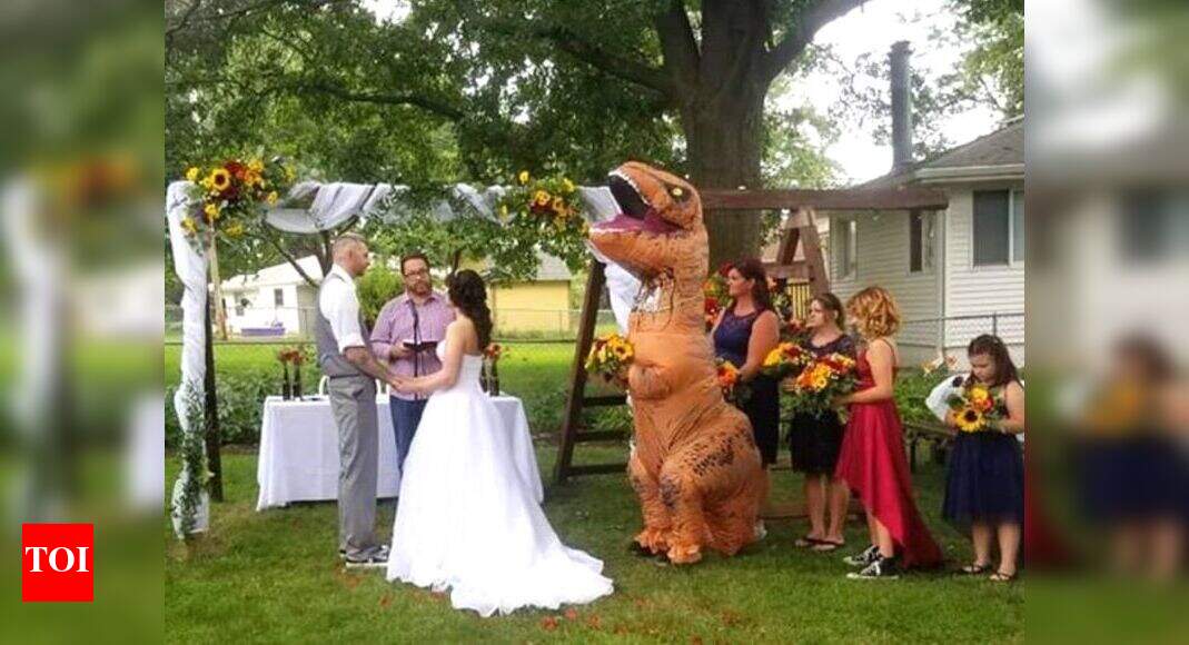 Viral: Maid of Honour dressed up as a dinosaur for her sister’s wedding ...