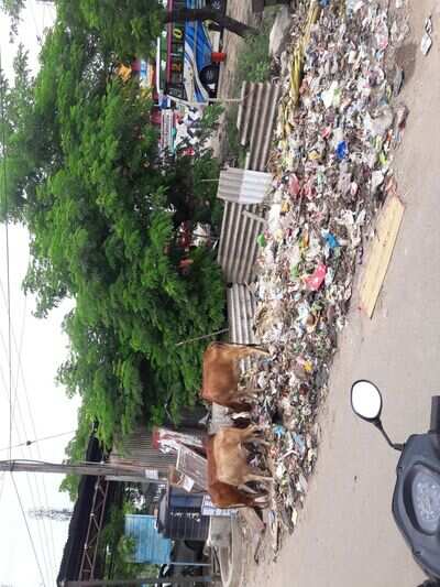 garbage piling up - Times of India