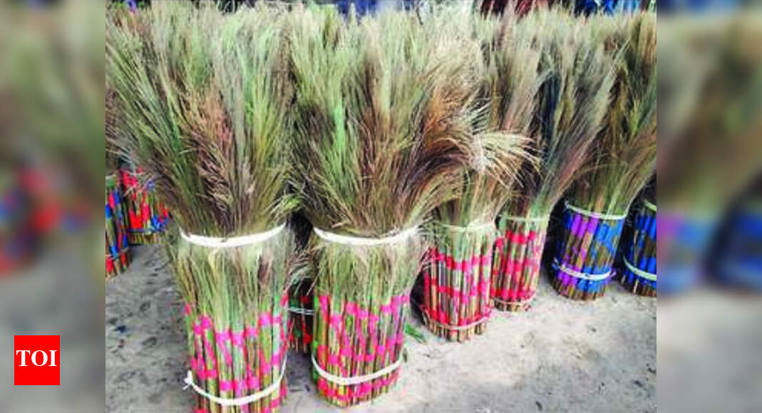 Nagaland's hill broom grass set to make its presence felt nationally ...
