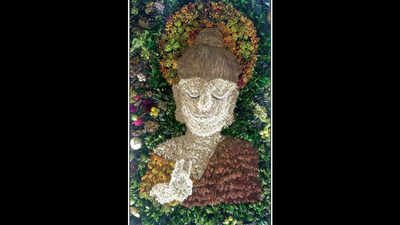 Matoli, a thriving archive of Goa’s flora | Goa News - Times of India