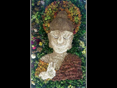 Matoli, a thriving archive of Goa’s flora | Goa News - Times of India