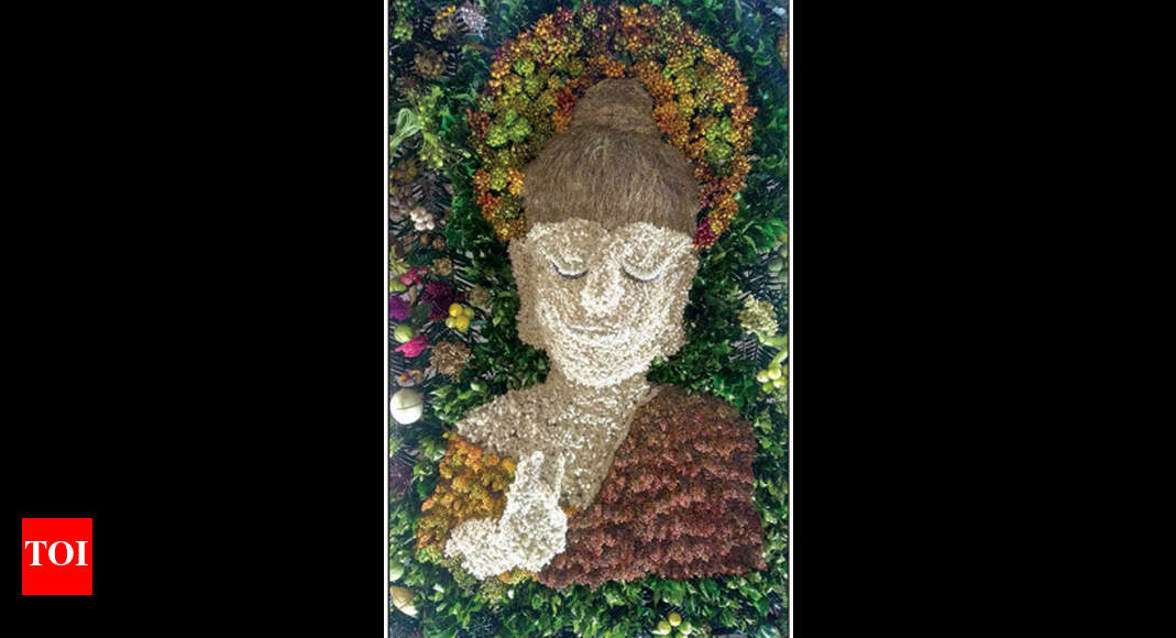 Matoli, a thriving archive of Goa’s flora | Goa News - Times of India