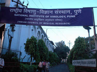 Hyalomma tick samples sent to Pune virology institute | Jaipur News ...