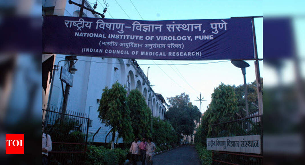 Hyalomma tick samples sent to Pune virology institute | Jaipur News ...