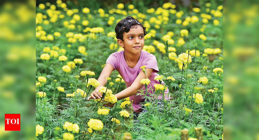 Varapuzha turns Kochi’s flower basket for this Onam | Kochi News ...