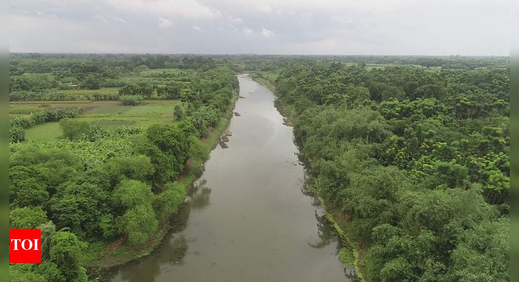 Ichamati river’s journey back to life | Kolkata News - Times of India
