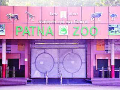 Patna zoo to screen another 3D film from this month-end | Patna News ...