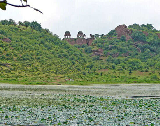 What secret treasures is Timangarh fort hiding in its womb? | TimesTravel