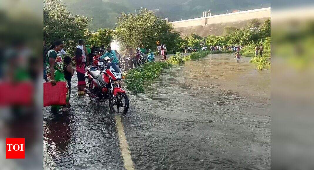 Water flows to road as Adavinainar dam shutter snaps | Madurai News ...