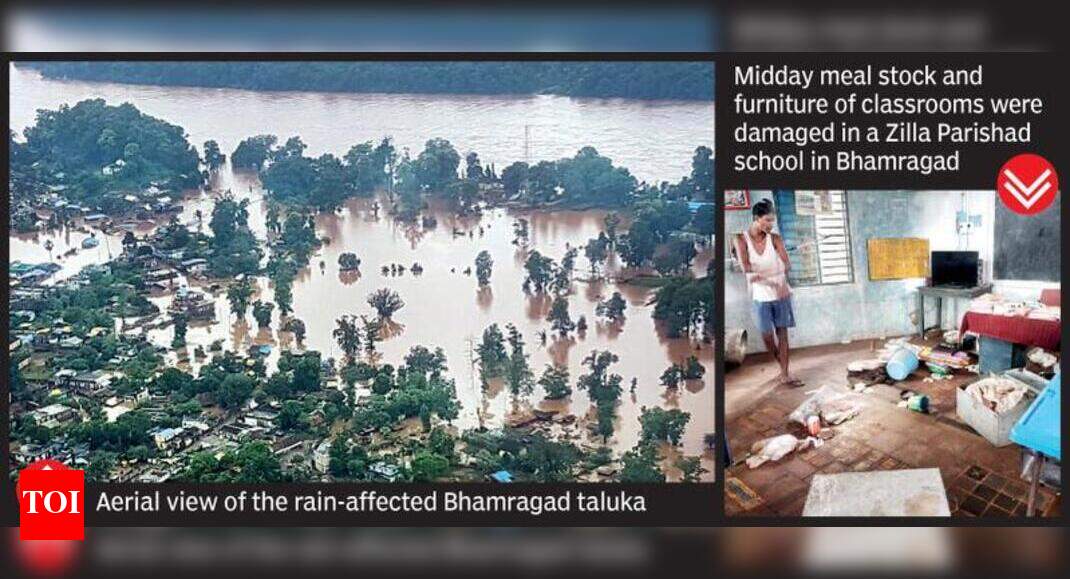Bhamragad hit by worst-ever flooding in 25 years | Nagpur News - Times ...