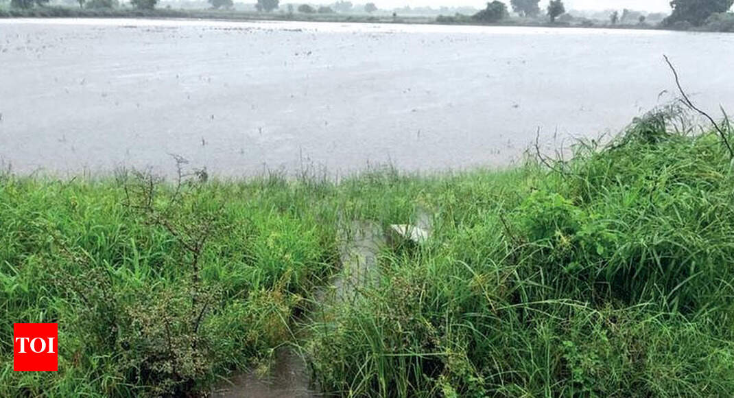 GPCB revokes closure order to VECL, activists fume | Vadodara News ...