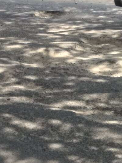 Endangering life. - Times of India