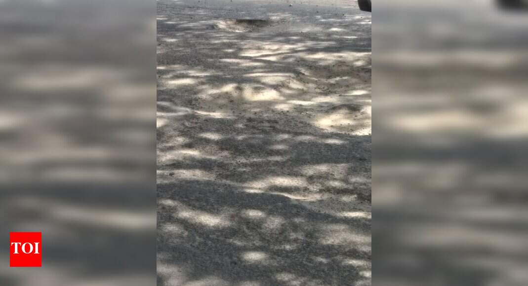 Endangering life. - Times of India