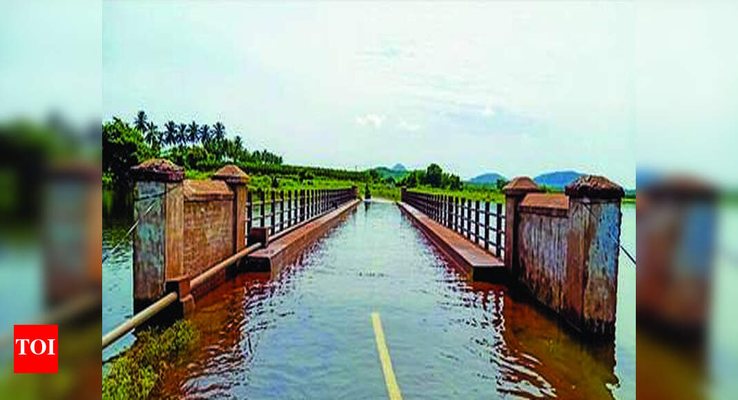 Bridge submerges for 2nd consecutive year | Coimbatore News - Times of ...